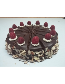 Buy Agbay Cake Levelers, Parts & Upgrades | Agbay Products